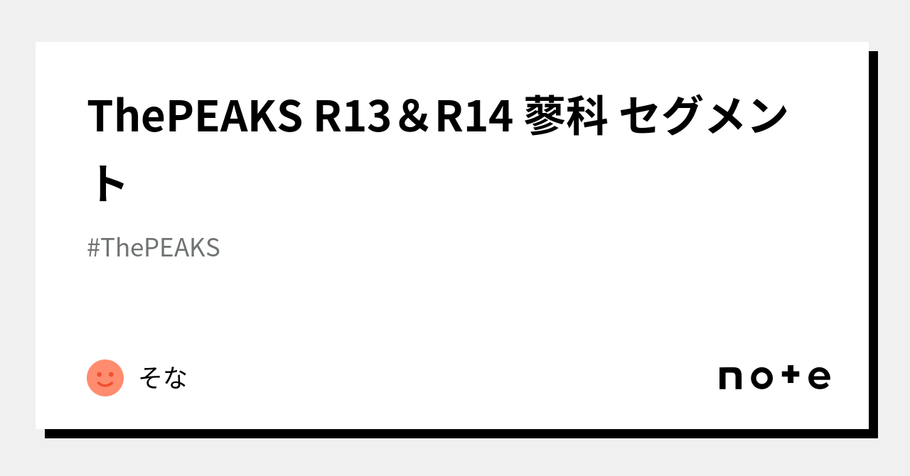 ThePEAKS R13＆R14 蓼科 セグメント｜そな