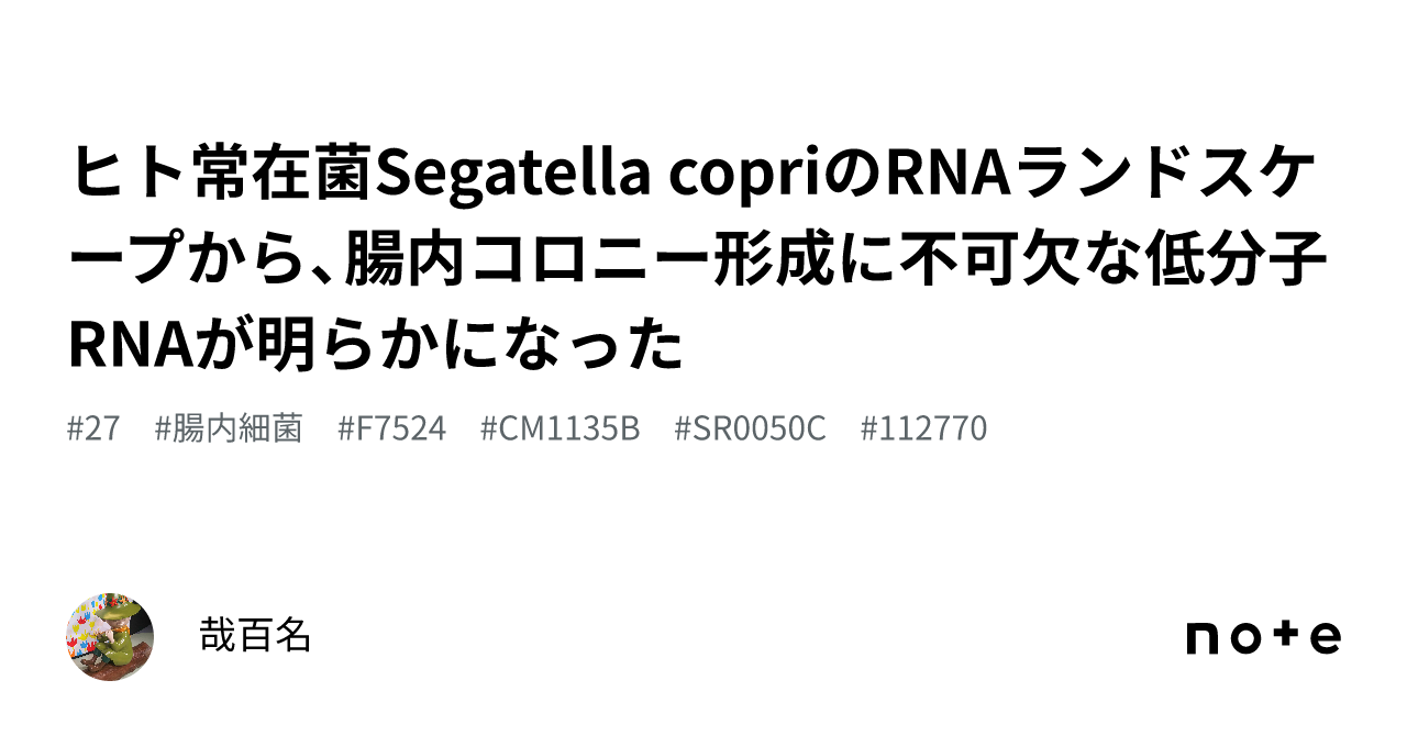ヒト常在菌Segatella copriのRNAランドスケープから、腸内コロニー形成に不可欠な低分子RNAが明らかになった｜哉百名