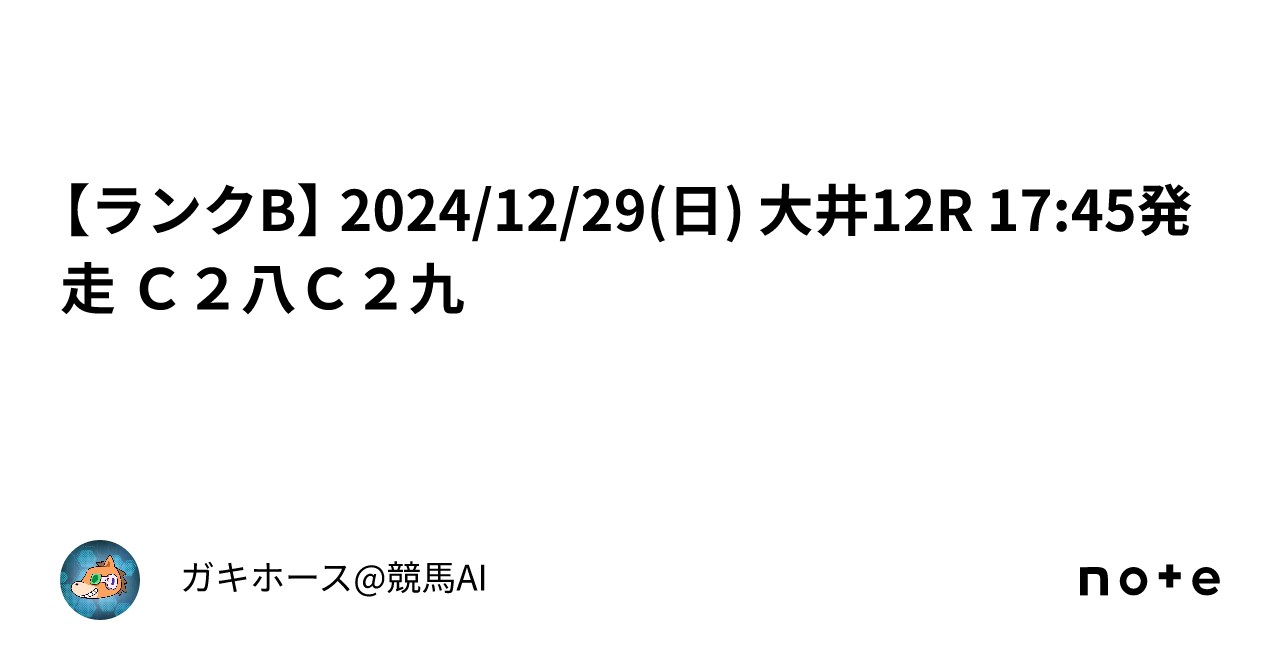 【ランクB】 2024/12/29(日) 大井12R 17:45発走 C2八C2九｜ガキホース@競馬AI