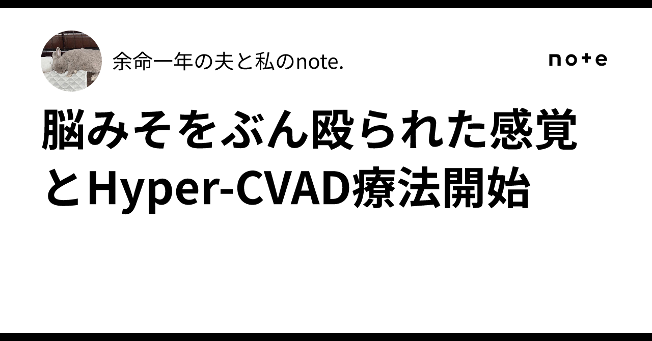 脳みそをぶん殴られた感覚とHyper-CVAD療法開始｜ほひ