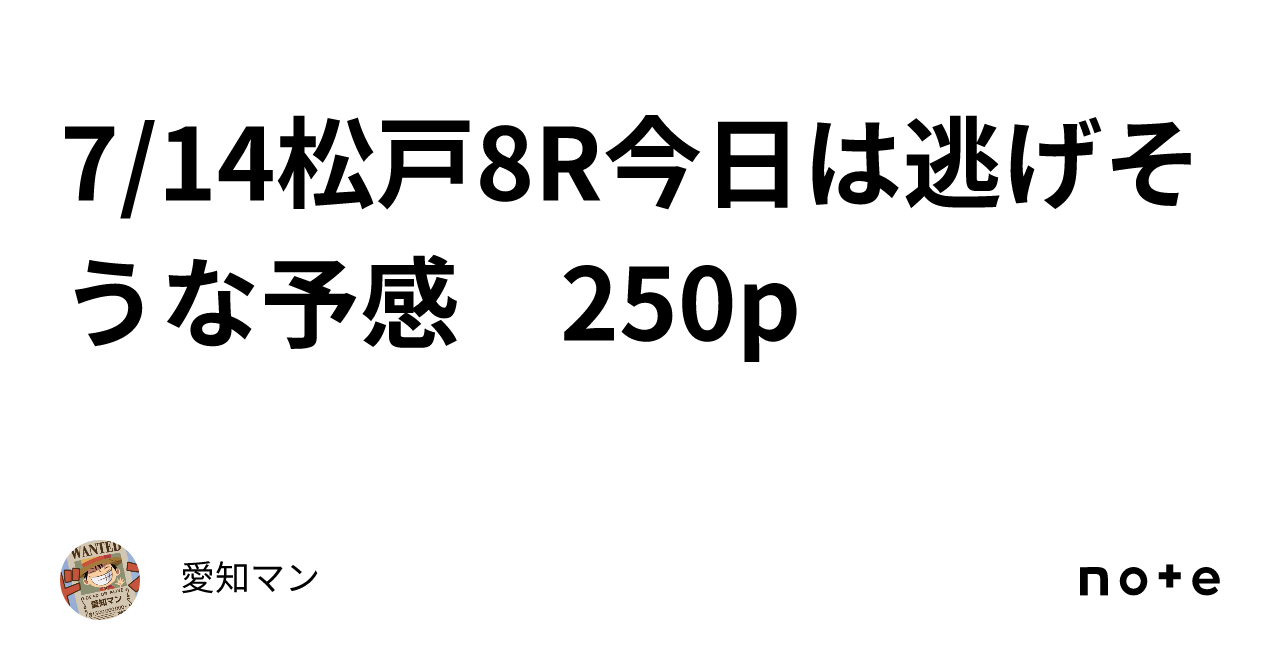 7/14松戸8R今日は逃げそうな予感 250p｜愛知マン
