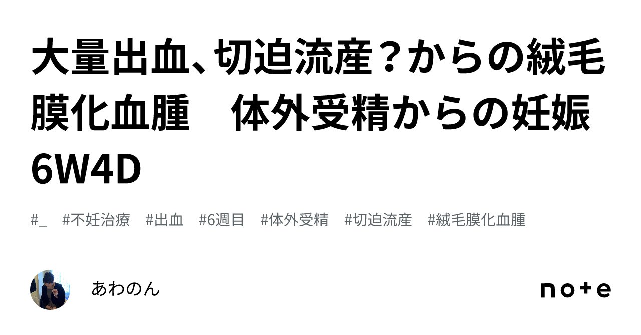 大量出血、切迫流産？からの絨毛膜化血腫 体外受精からの妊娠 6W4D｜あわのん