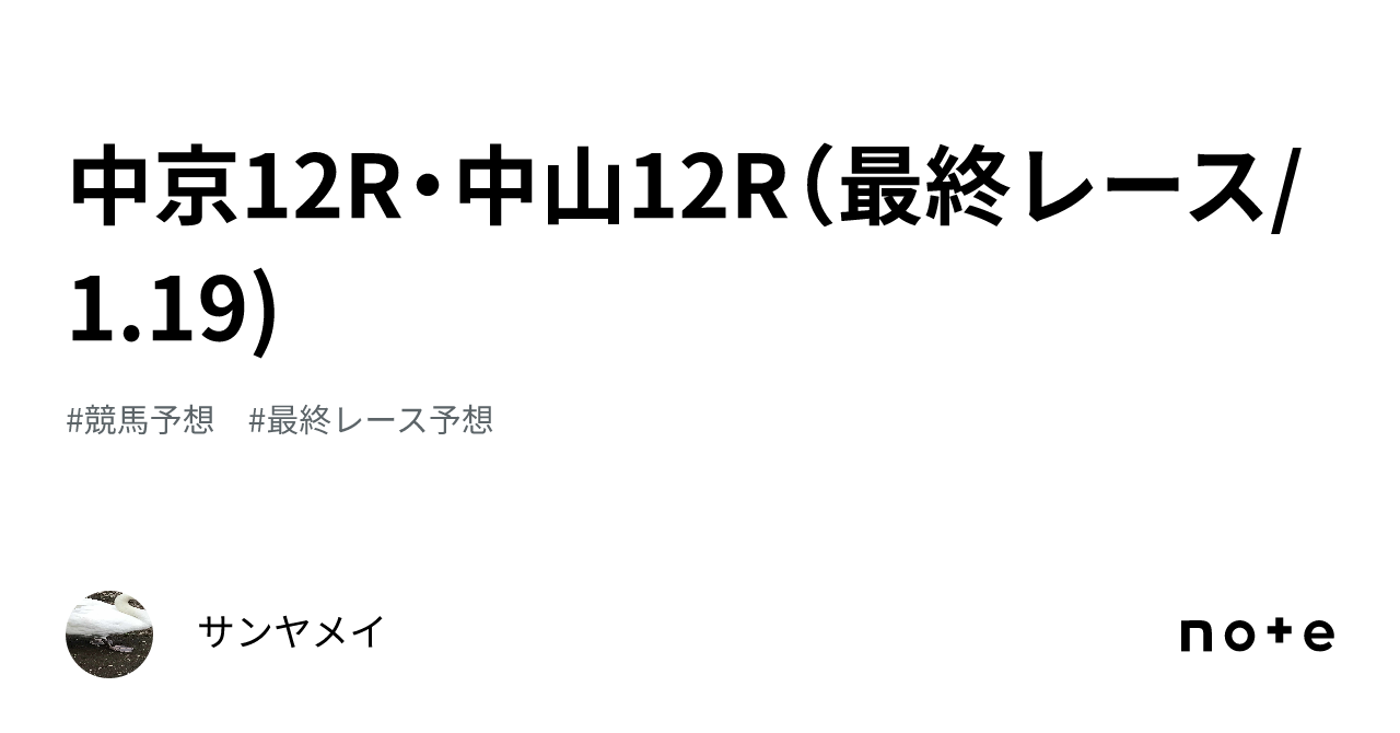 中京12R・中山12R（最終レース/1.19)｜サンヤメイ