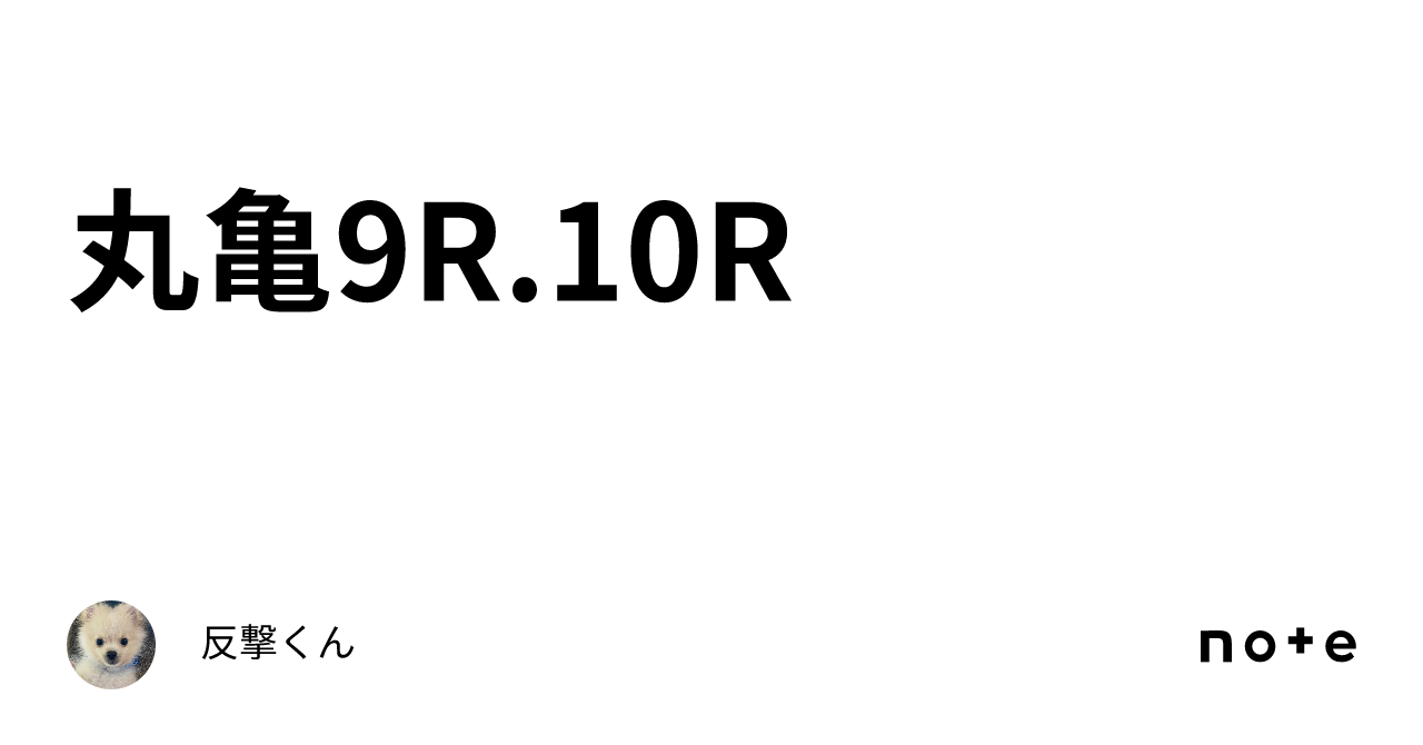 丸亀9R.10R｜反撃くん