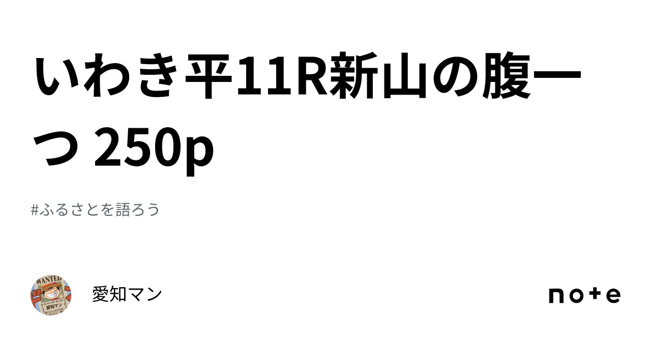 いわき平11R新山の腹一つ 250p｜愛知マン