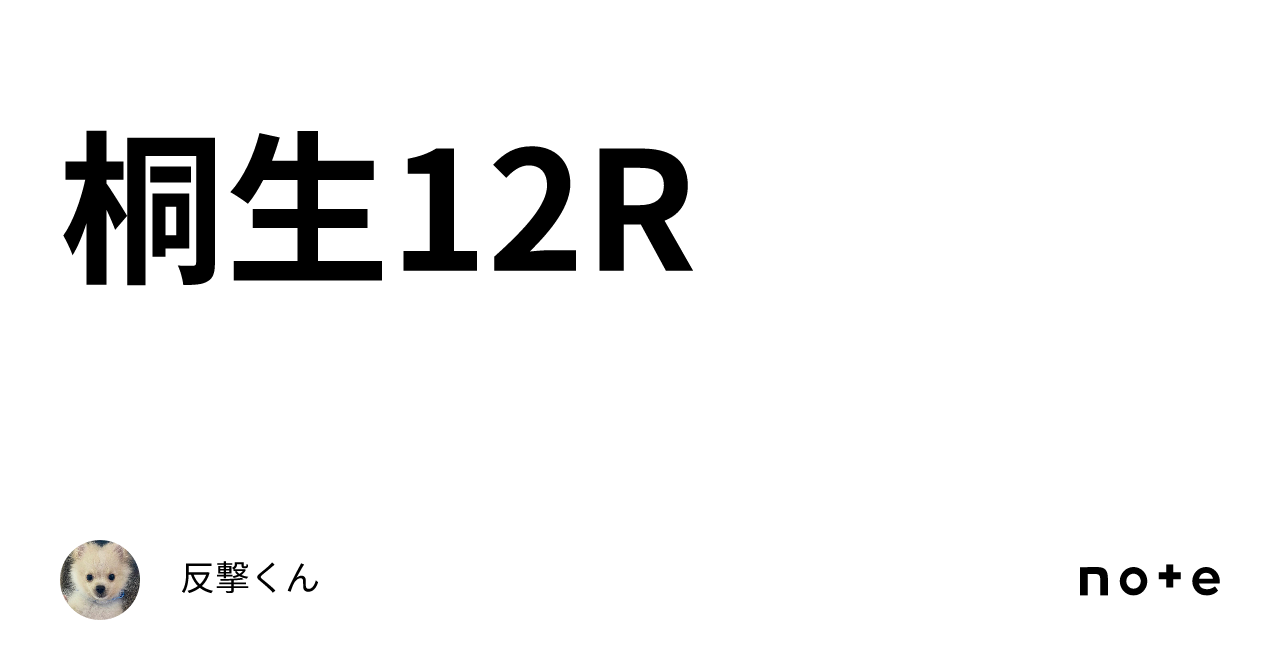 桐生12R｜反撃くん