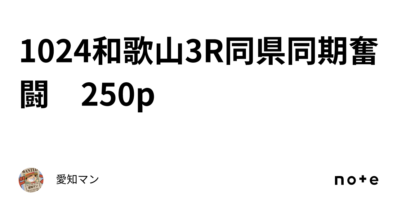 1024和歌山3R同県同期奮闘 250p｜愛知マン