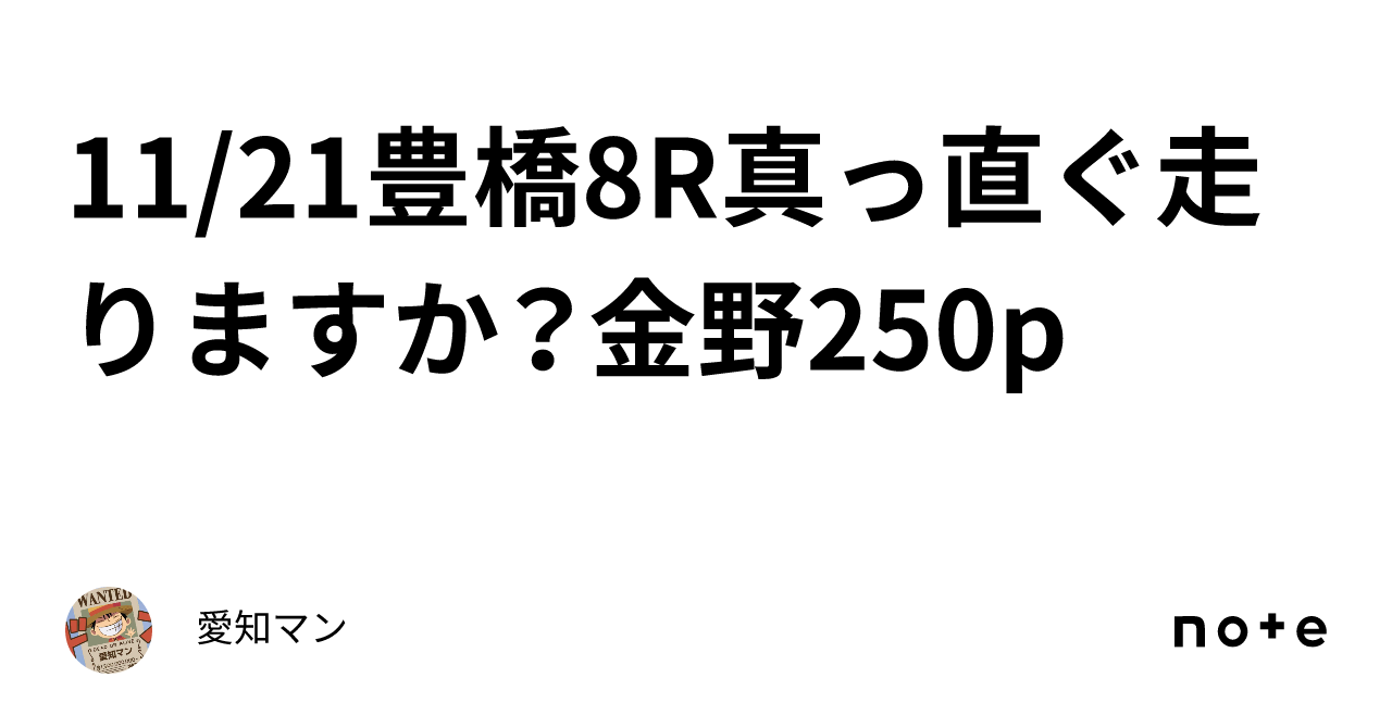 11/21豊橋8R真っ直ぐ走りますか？金野250p｜愛知マン