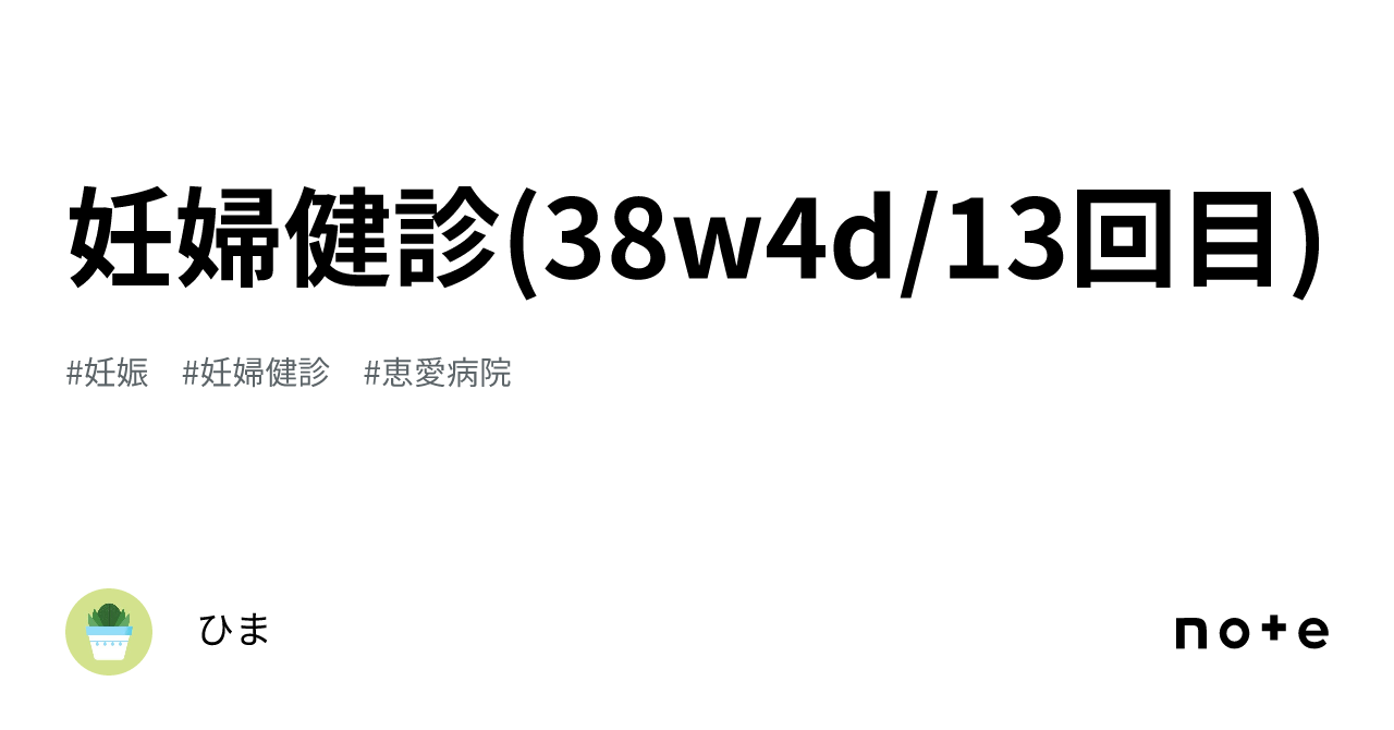 妊婦健診(38w4d/13回目)｜ひま