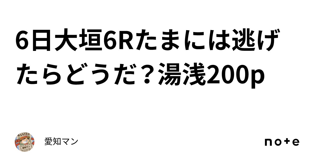 6日大垣6Rたまには逃げたらどうだ？湯浅200p｜愛知マン