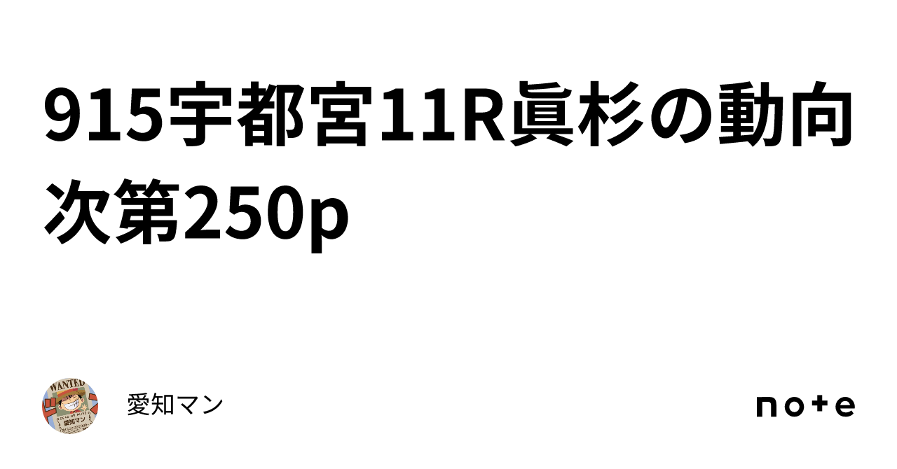 915宇都宮11R眞杉の動向次第250p｜愛知マン
