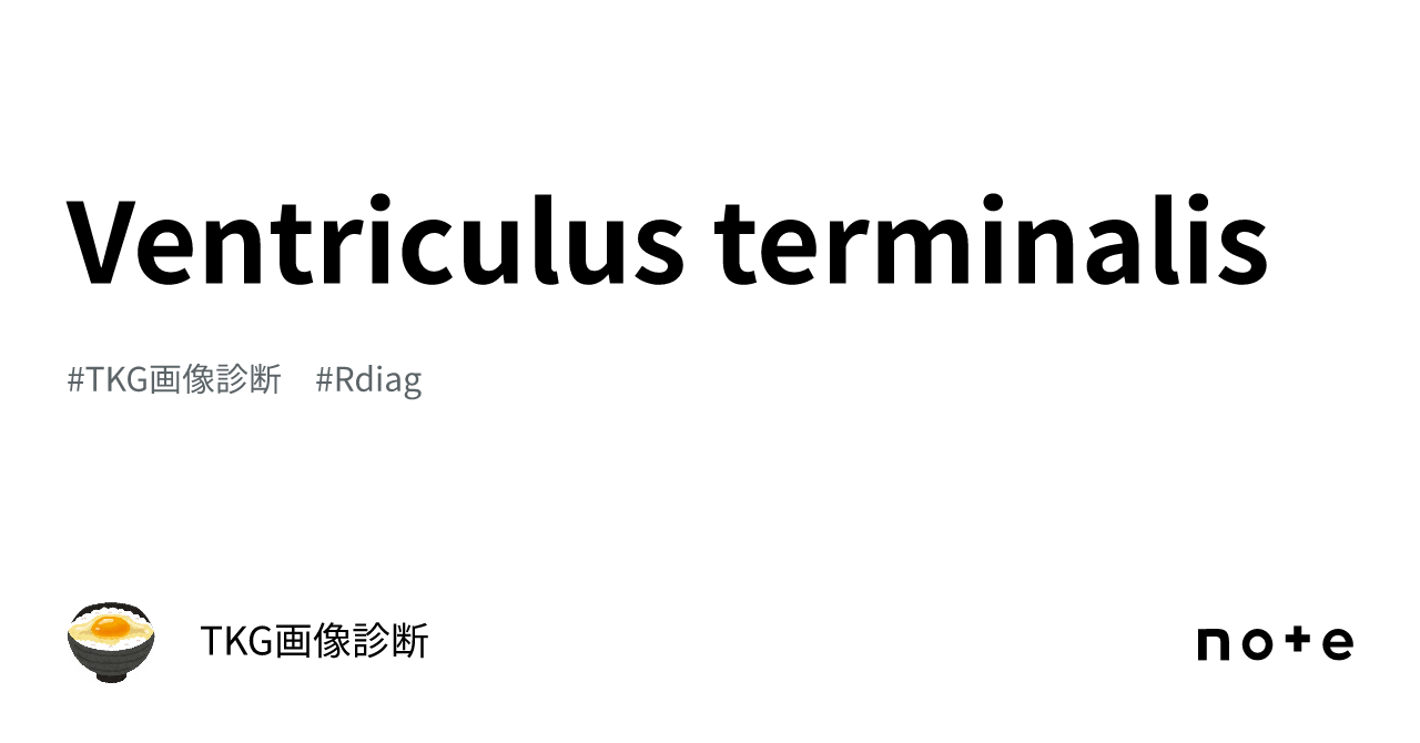 Ventriculus terminalis｜TKG画像診断