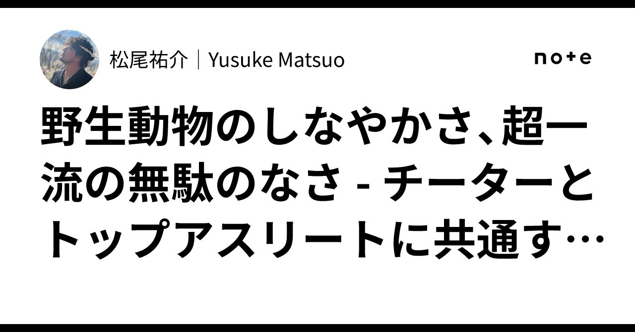 野生動物のしなやかさ、超一流の無駄のなさ - チーターとトップアスリートに共通する"流れる動き"｜松尾祐介｜Yusuke Matsuo