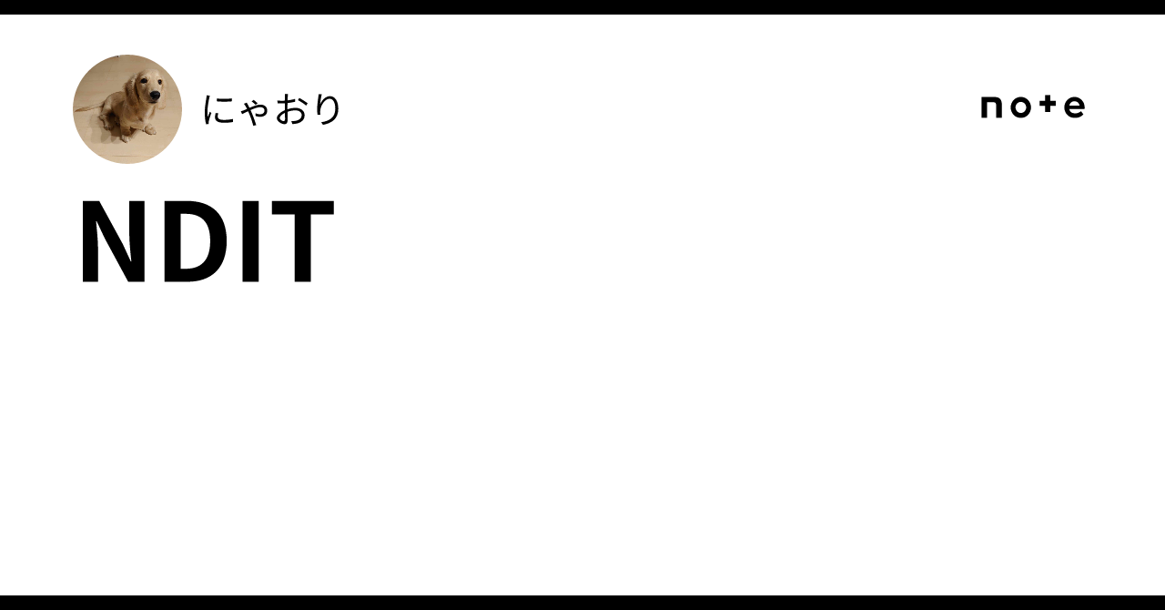NDIT｜にゃおり