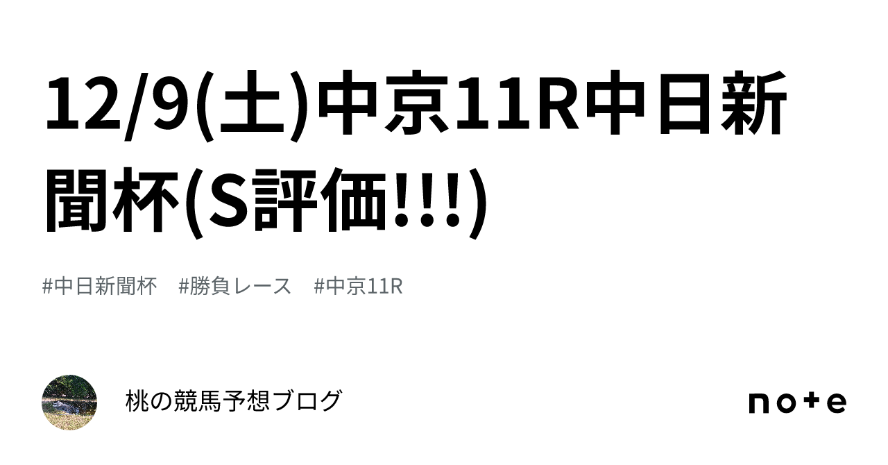 12/9(土)中京11R中日新聞杯(S評価!!!)｜桃の競馬予想ブログ🌸