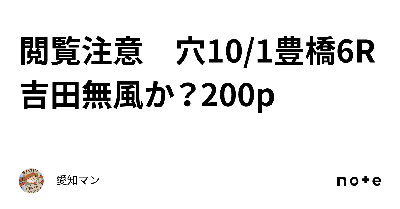閲覧注意 穴10/1豊橋6R 吉田無風か？200p｜愛知マン