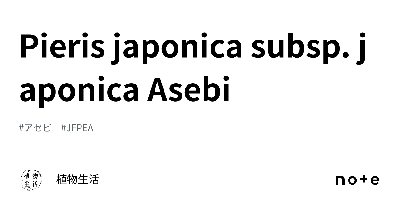 Pieris japonica subsp. japonica Asebi｜植物生活