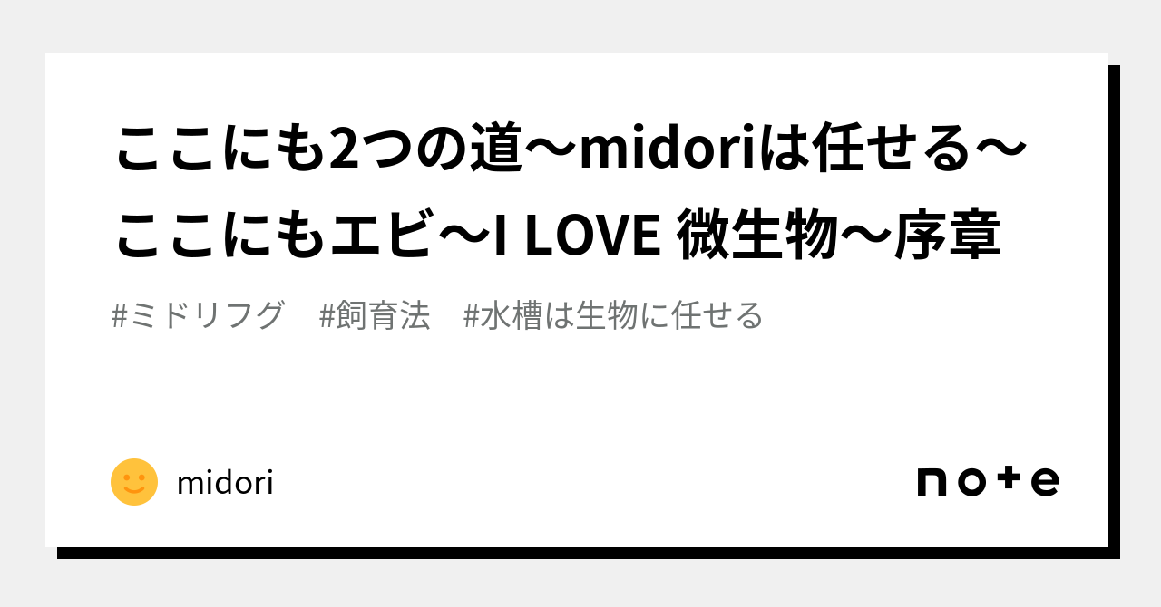 ここにも2つの道～midoriは任せる～ここにもエビ～I LOVE 微生物～序章｜midori｜note