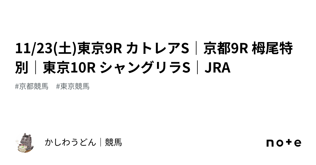 11/23(土)東京9R カトレアS｜京都9R 栂尾特別｜東京10R シャングリラS｜JRA｜かしわうどん｜競馬