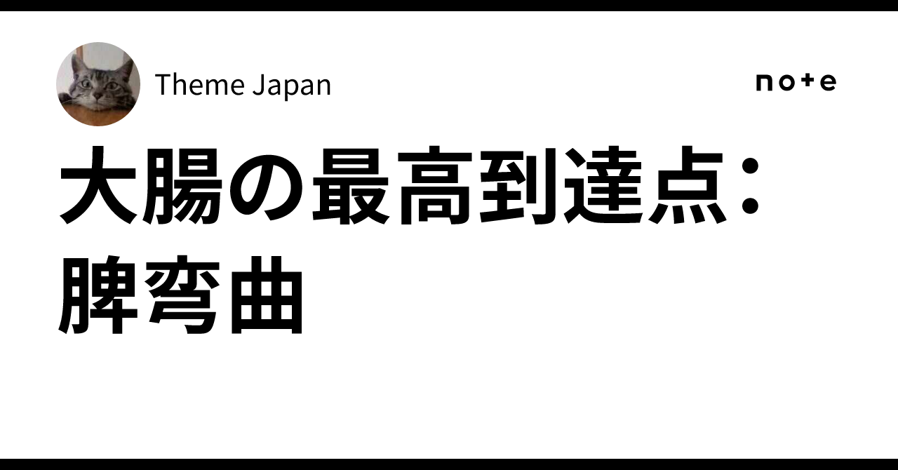 大腸の最高到達点：脾弯曲｜Theme Japan