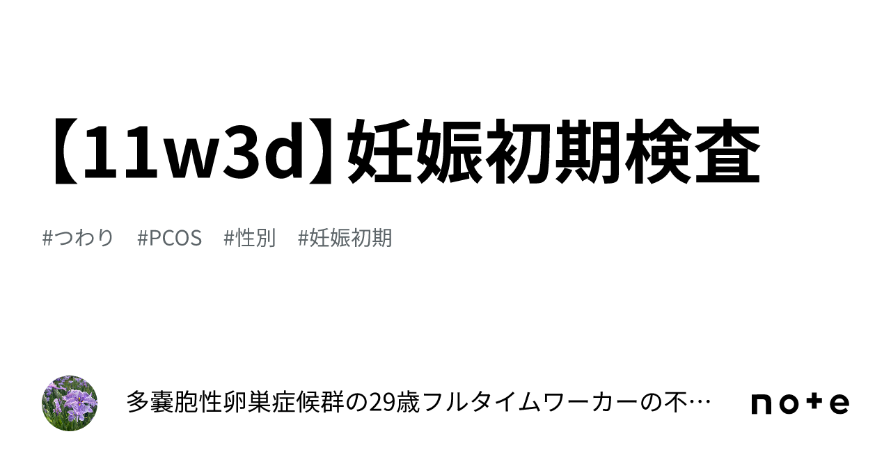 【11w3d】妊娠初期検査｜多嚢胞性卵巣症候群の29歳フルタイムワーカーの不妊治療日記