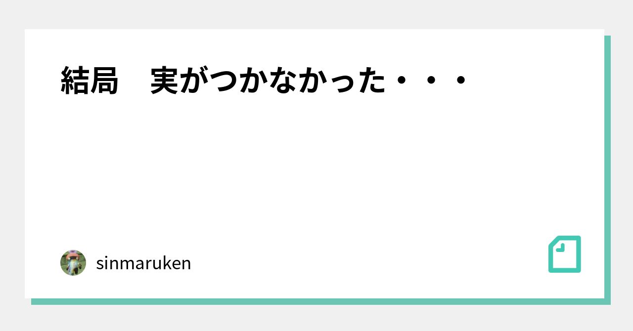 結局 実がつかなかった・・・｜sinmaruken