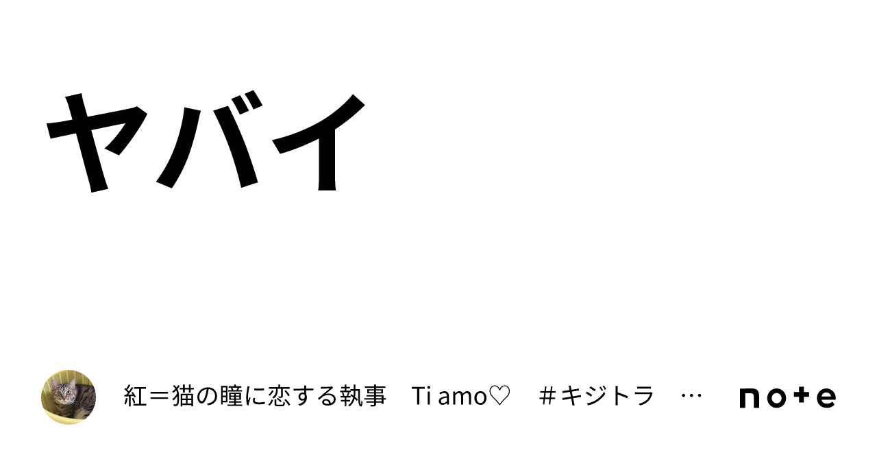 ヤバイ｜紅＝猫の瞳に恋する執事 Ti amo♡ ＃キジトラ ＃note ＃小説 ＃エッセイ ＃猫がいる幸せ