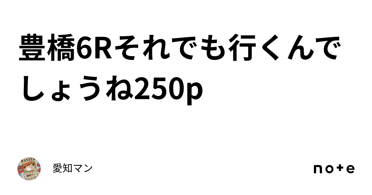 豊橋6Rそれでも行くんでしょうね250p｜愛知マン