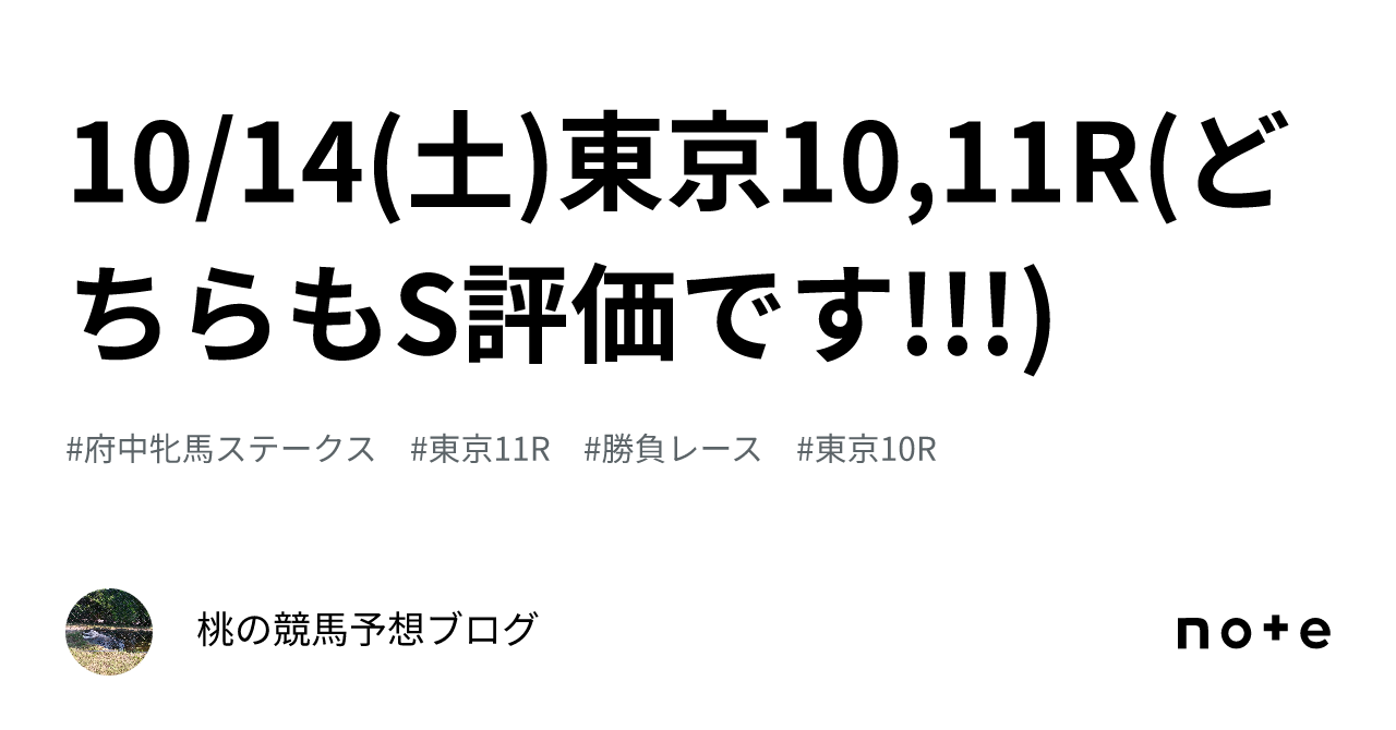 10/14(土)東京10,11R(どちらもS評価です!!!)｜桃の競馬予想ブログ🌸FXもやっています