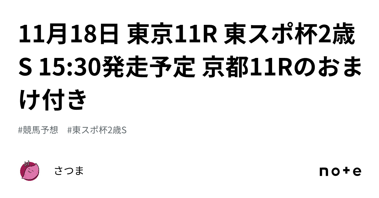 11月18日 東京11R 東スポ杯2歳S 15:30発走予定 京都11Rのおまけ付き｜さつま