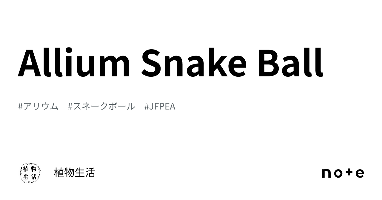 Allium Snake Ball｜植物生活