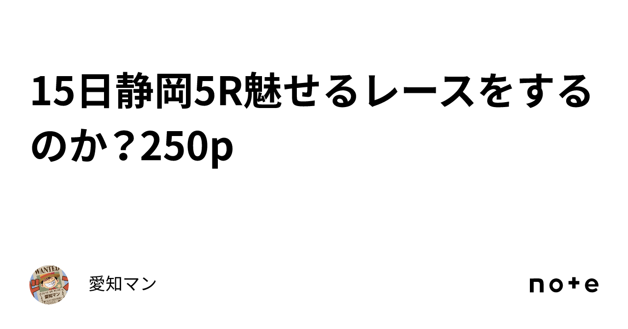 15日静岡5R魅せるレースをするのか？250p｜愛知マン