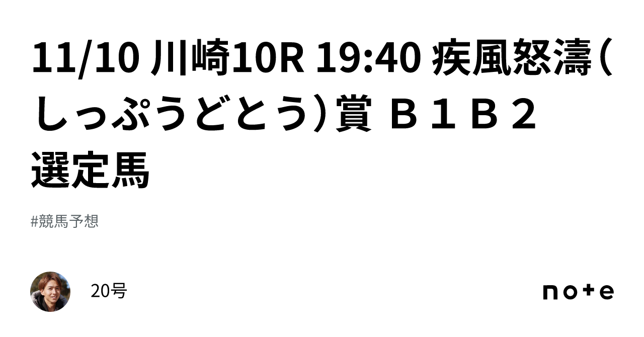 11/10 川崎10R 19:40 疾風怒濤（しっぷうどとう）賞 B1B2 選定馬｜20号