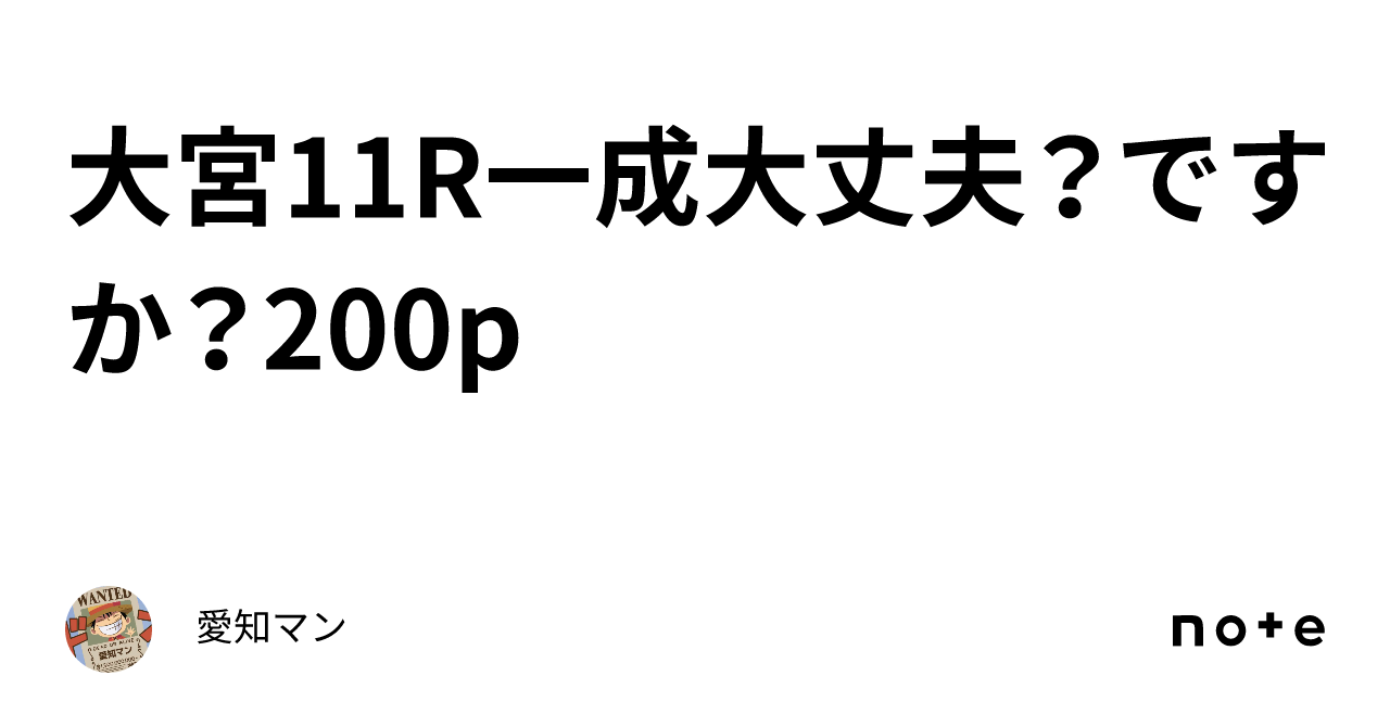大宮11R一成大丈夫？ですか？200p｜愛知マン