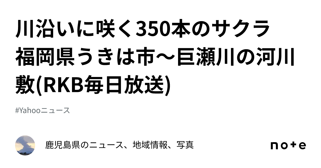 川沿いに咲く350本のサクラ 福岡県うきは市～巨瀬川の河川敷(RKB毎日放送)｜鹿児島県のニュース、地域情報、写真
