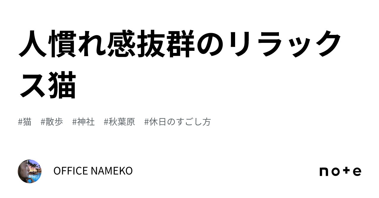 人慣れ感抜群のリラックス猫｜OFFICE NAMEKO