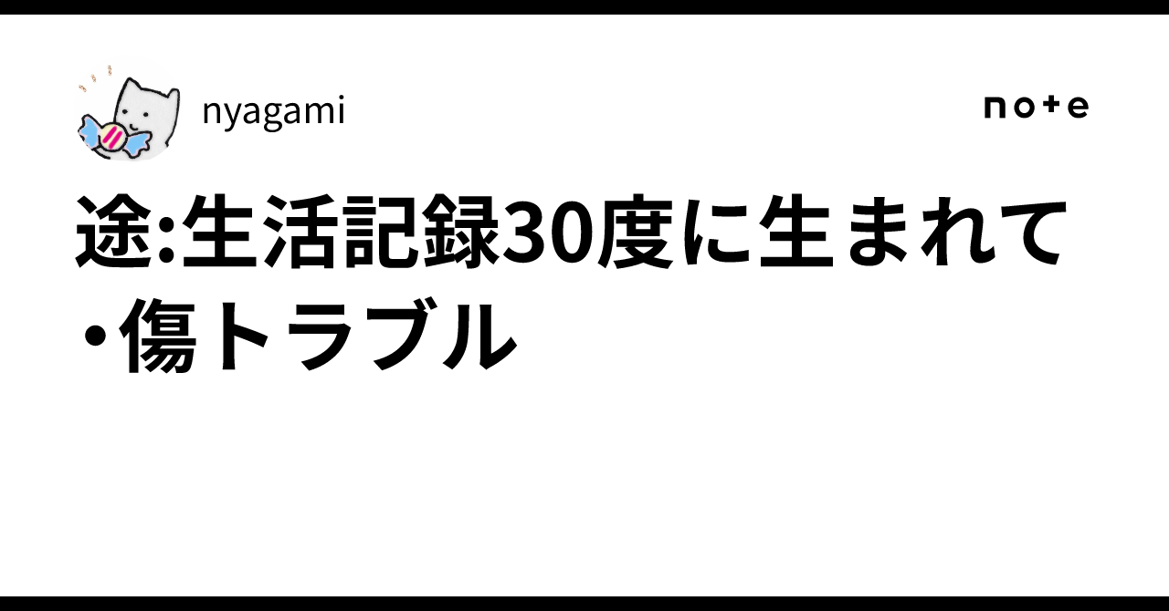 途:生活記録30度に生まれて・傷トラブル｜nyagami