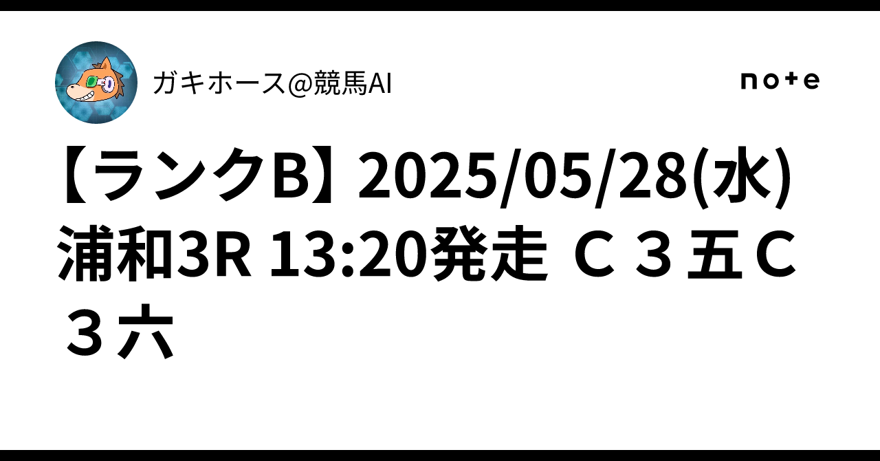 【ランクB】 2025/05/28(水) 浦和3R 13:20発走 C3五C3六 ｜ガキホース@競馬AI