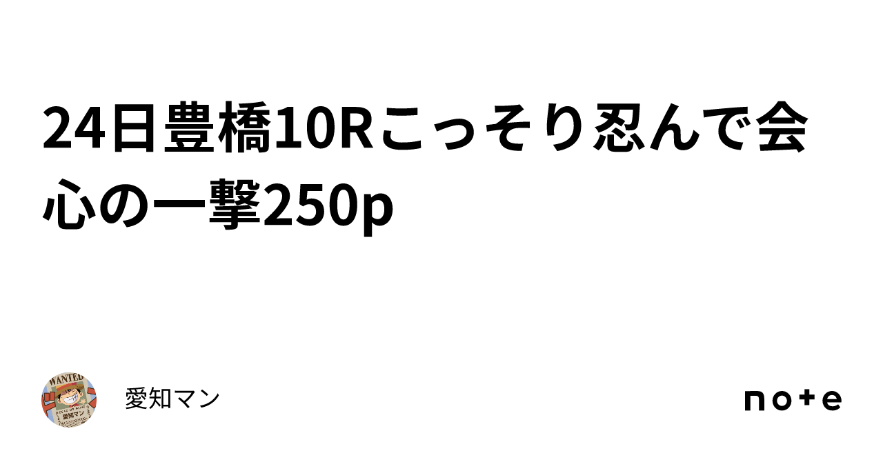 24日豊橋10Rこっそり忍んで会心の一撃250p｜愛知マン