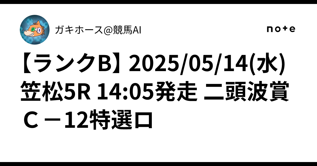 【ランクB】 2025/05/14(水) 笠松5R 14:05発走 二頭波賞 C－12特選ロ｜ガキホース@競馬AI