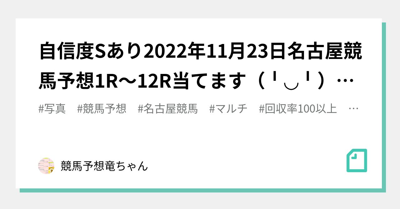自信度Sあり2022年11月23日名古屋競馬予想1R〜12R当てます（╹ ╹）返金保証あり。高配当｜競馬予想竜ちゃん