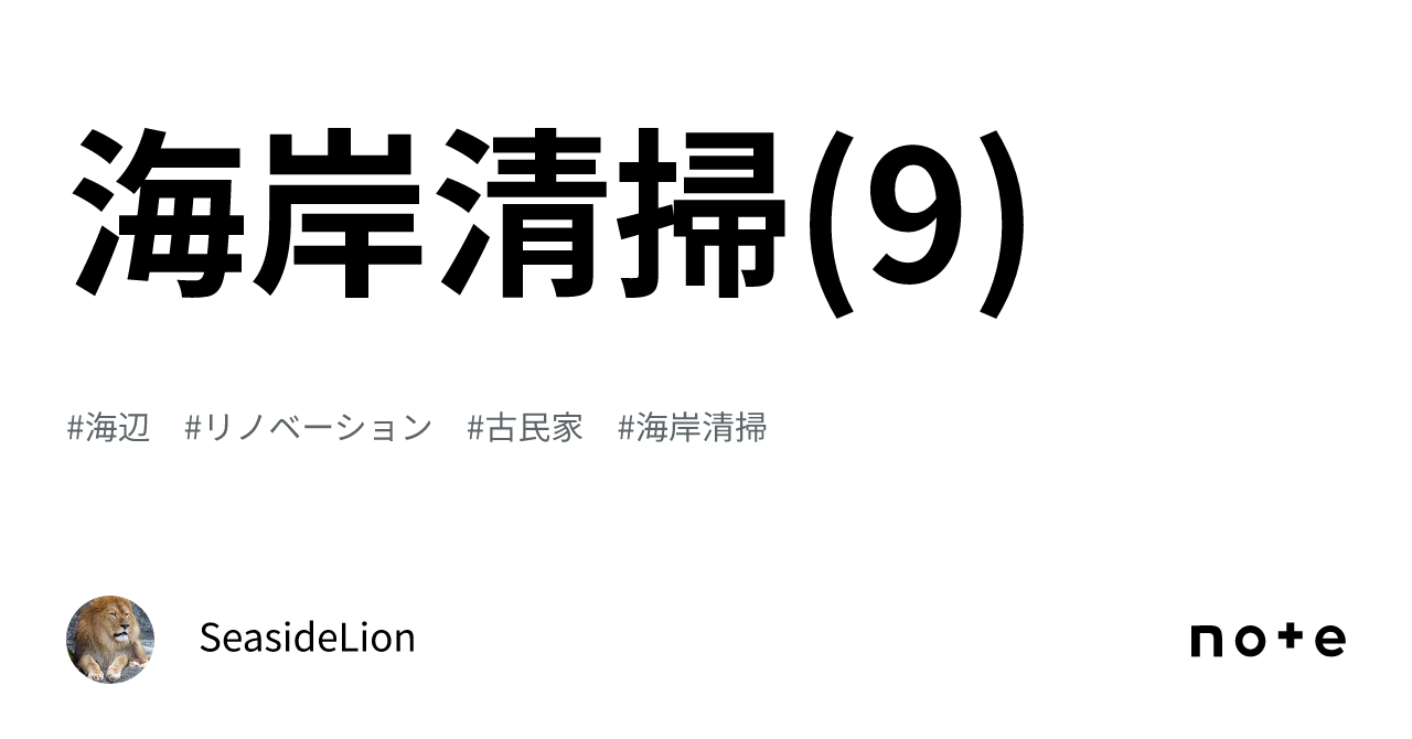 海岸清掃(9)｜SeasideLion