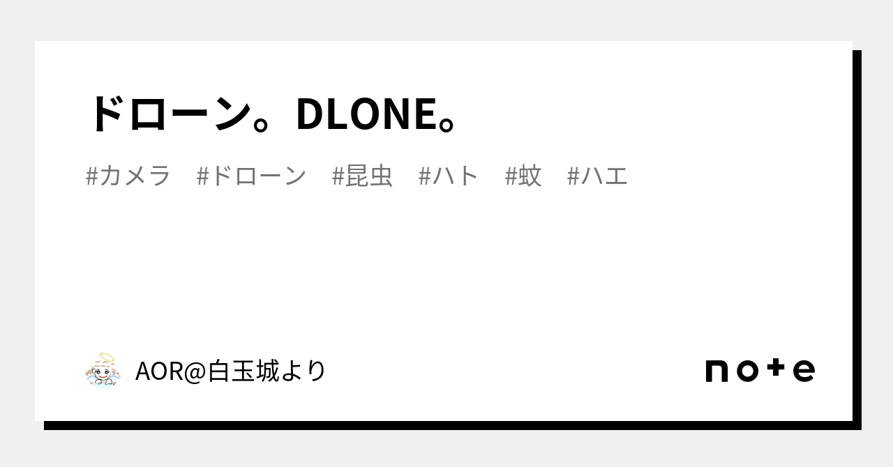 ドローン。🌟DLONE。🌟｜AOR@白玉城より