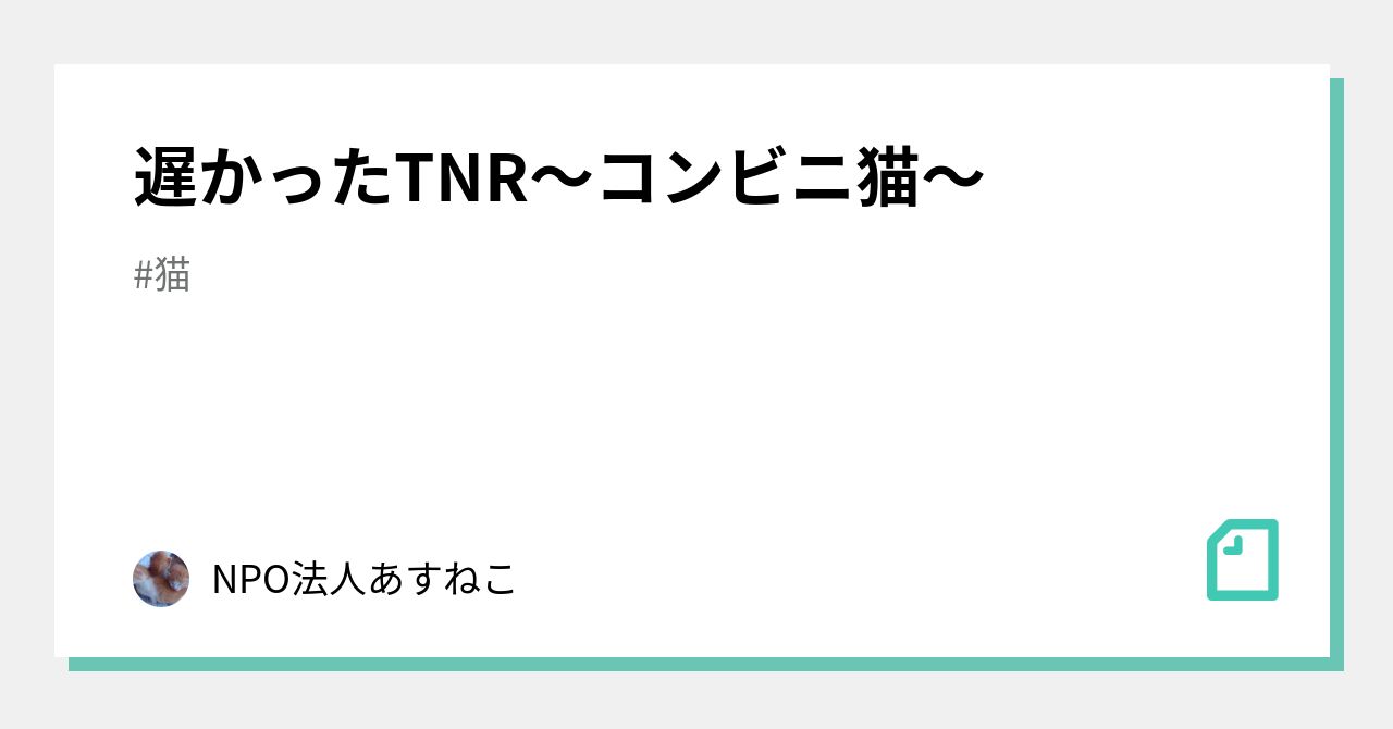 遅かったTNR～コンビニ猫～｜NPO法人あすねこ