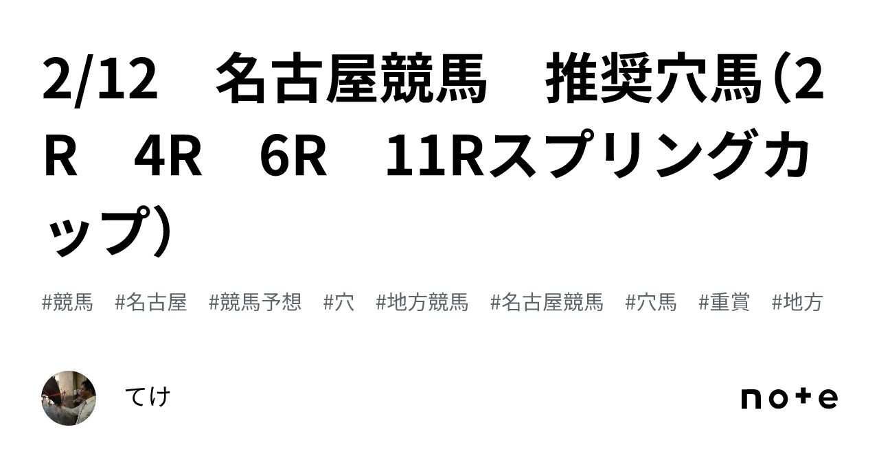 2/12 名古屋競馬 推奨穴馬（2R 4R 6R 11Rスプリングカップ）｜てけ