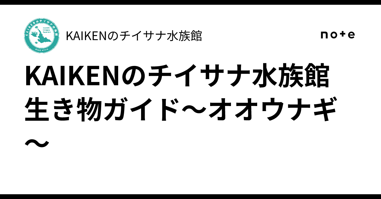 KAIKENのチイサナ水族館 生き物ガイド～オオウナギ～｜KAIKENのチイサナ水族館