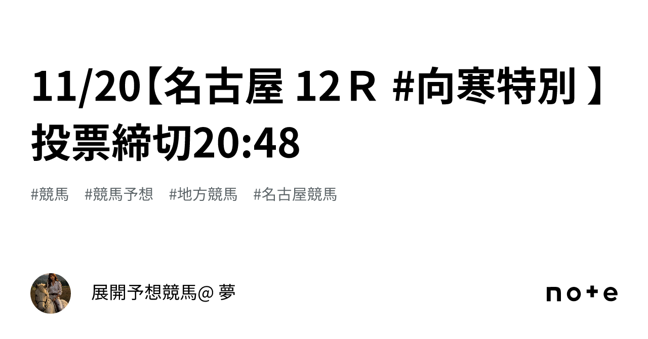 11/20【名古屋 12R #向寒特別 】投票締切20:48🏇｜🏇💐展開予想競馬@ 夢