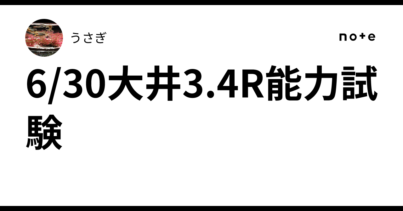 6/30大井3.4R能力試験｜うさぎ