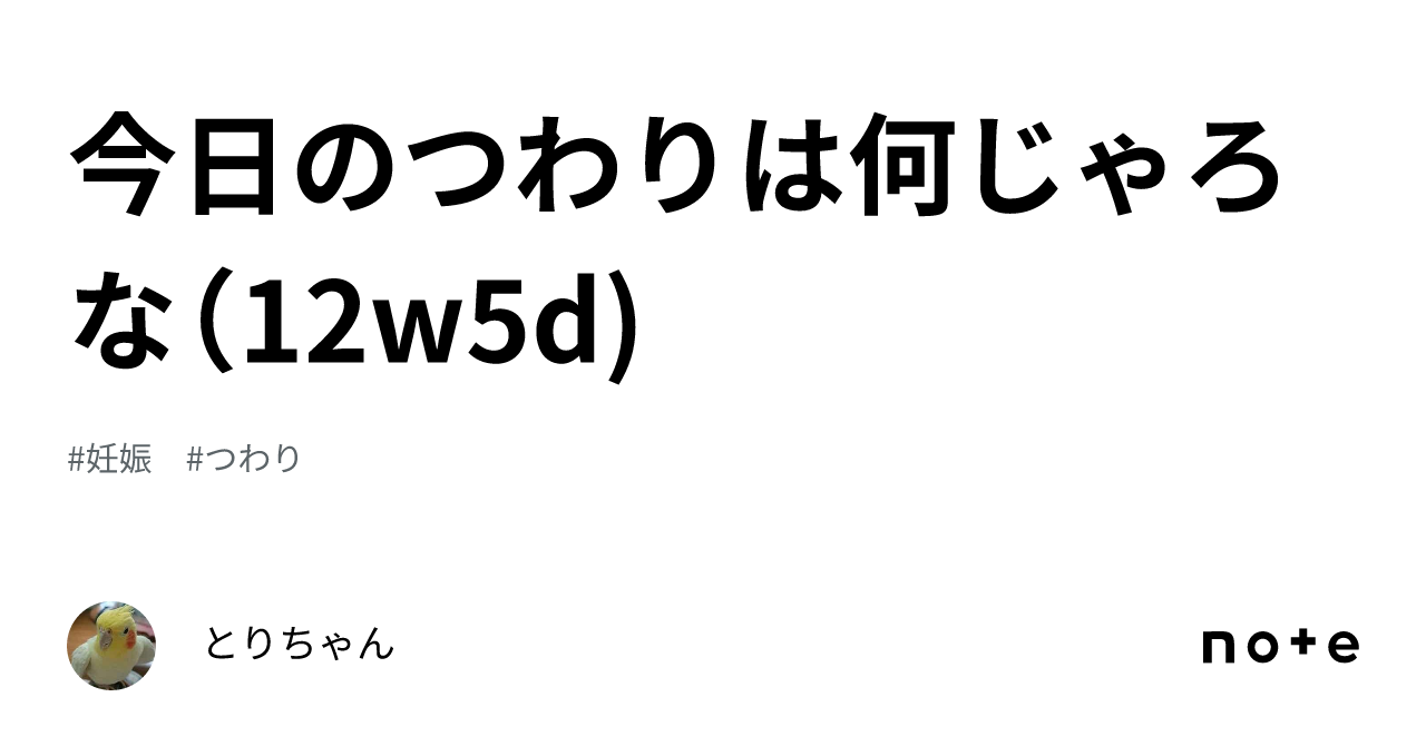 今日のつわりは何じゃろな（12w5d)｜とりちゃん