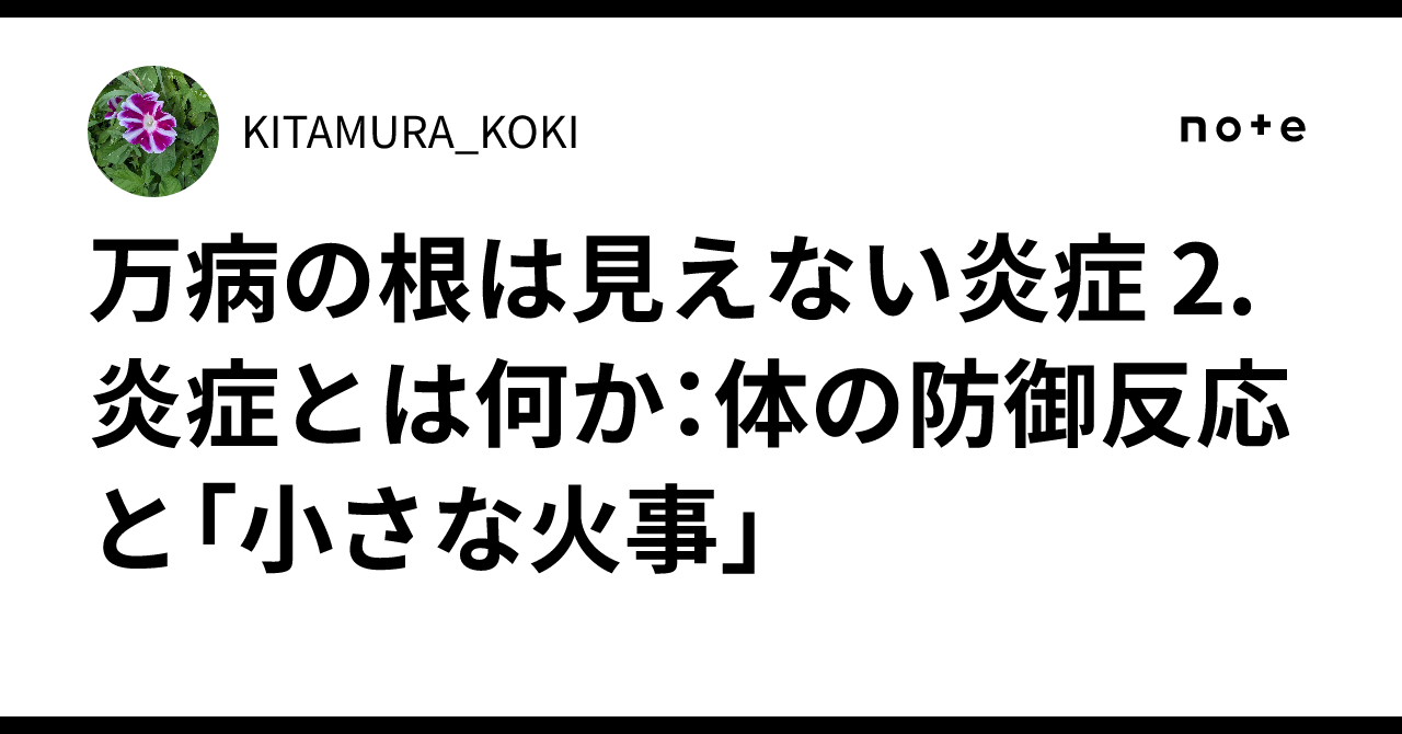 万病の根は見えない炎症 2. 炎症とは何か：体の防御反応と「小さな火事」｜KITAMURA_KOKI